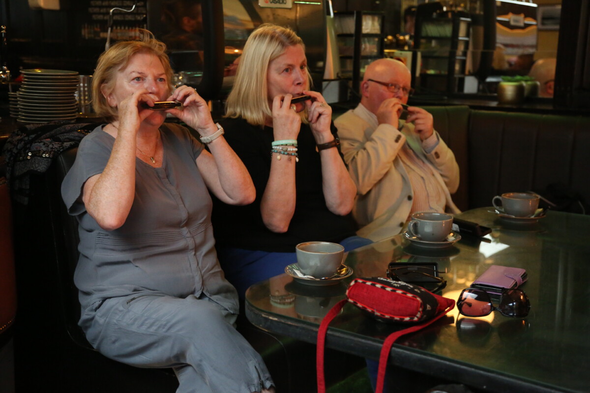 Harmonica workshop–bring music to your event - Harmonicas Ireland