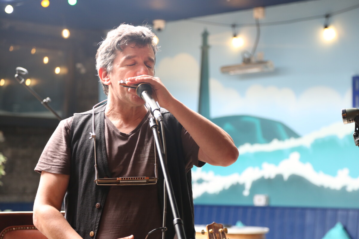 Harmonica workshop–bring music to your event - Harmonicas Ireland
